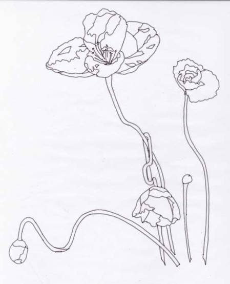 Poppy Embroideries | West Zen Studio